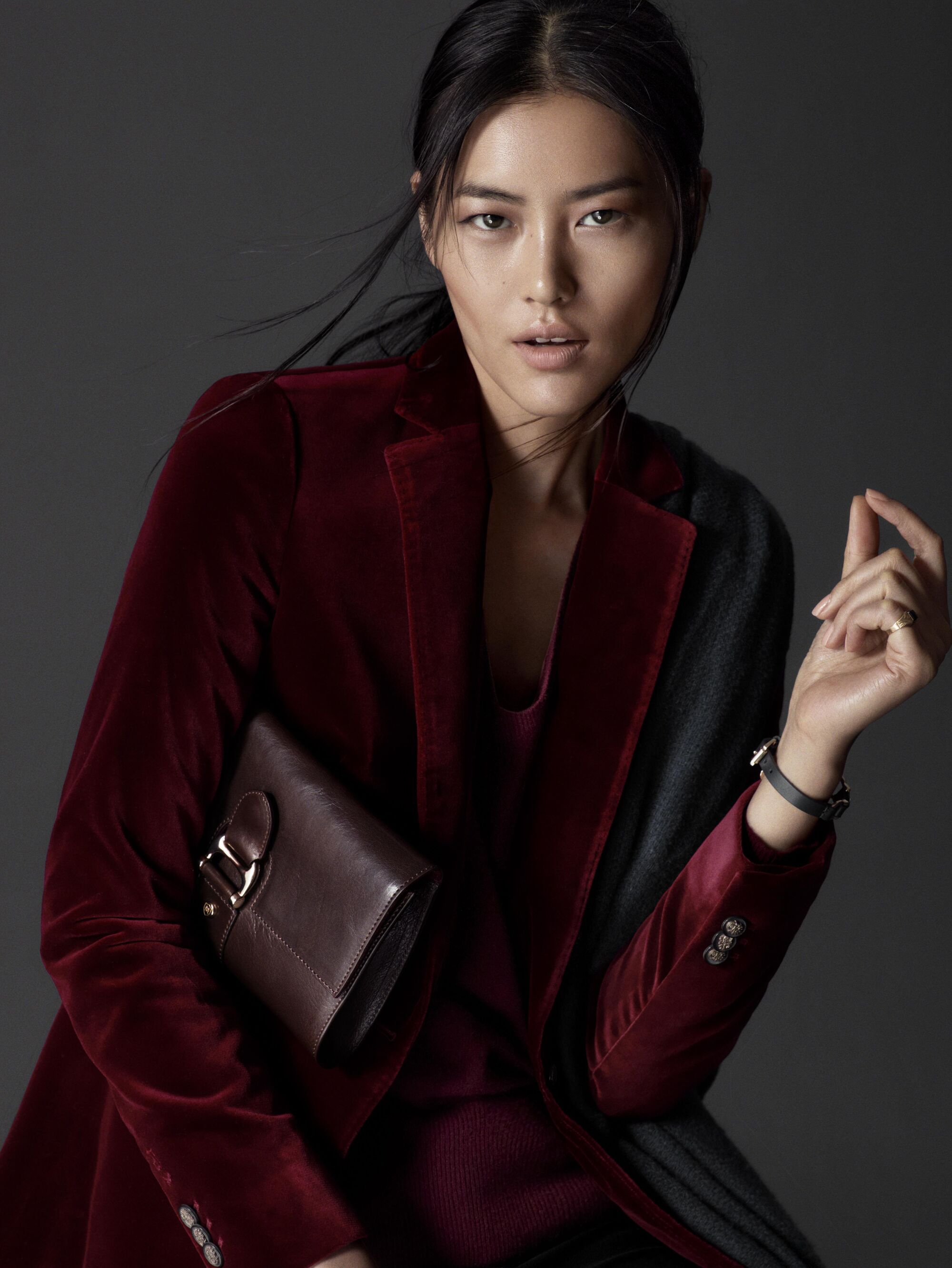 Liu Wen Wiki Drama Fandom