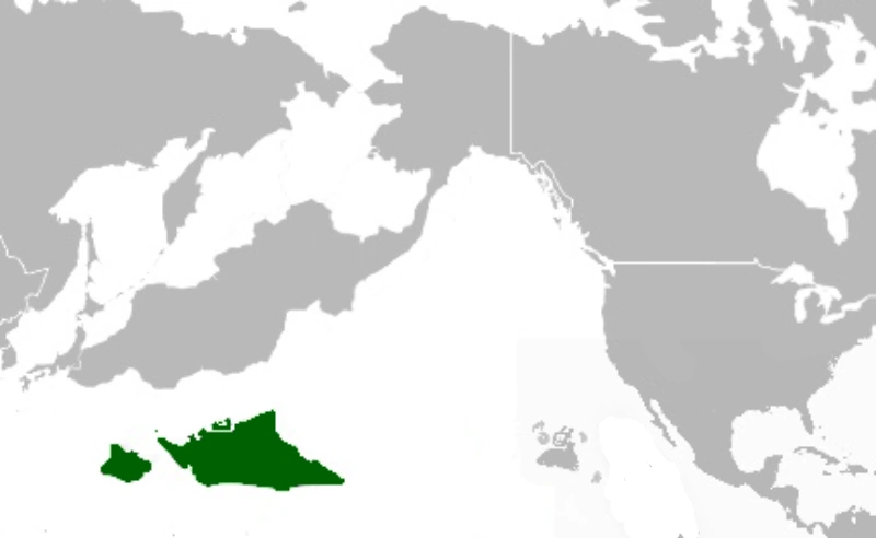 Goiky | Dream Fiction Wiki | Fandom