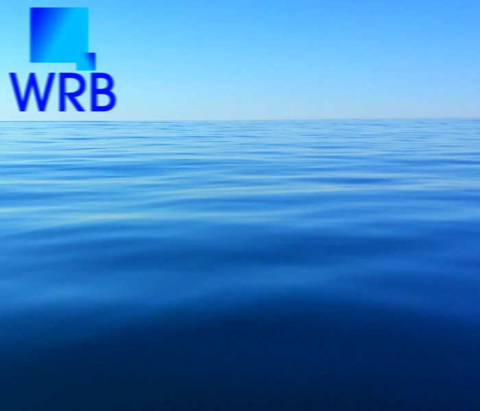 World Regional Broadcasting/Idents | Dream Logos Wiki | Fandom