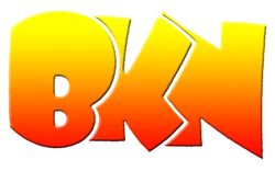 BKN | Dream Logos Wiki | Fandom