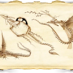 Changewing | DreamWorks: Dragons Wiki | FANDOM powered by Wikia