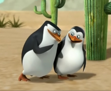 Skivate | Penguins of Madagascar Wikia | Fandom