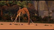 Melman/Gallery | Dreamworks Animation Wiki | Fandom