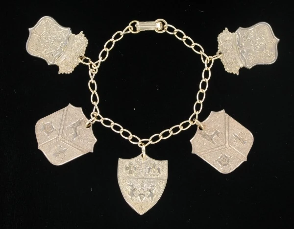 Shield bracelet | Dresden Files | Fandom