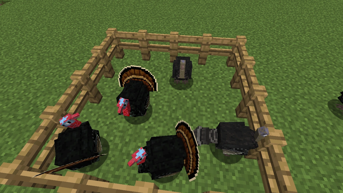 Turkey | Mo' Creatures Wiki | Fandom