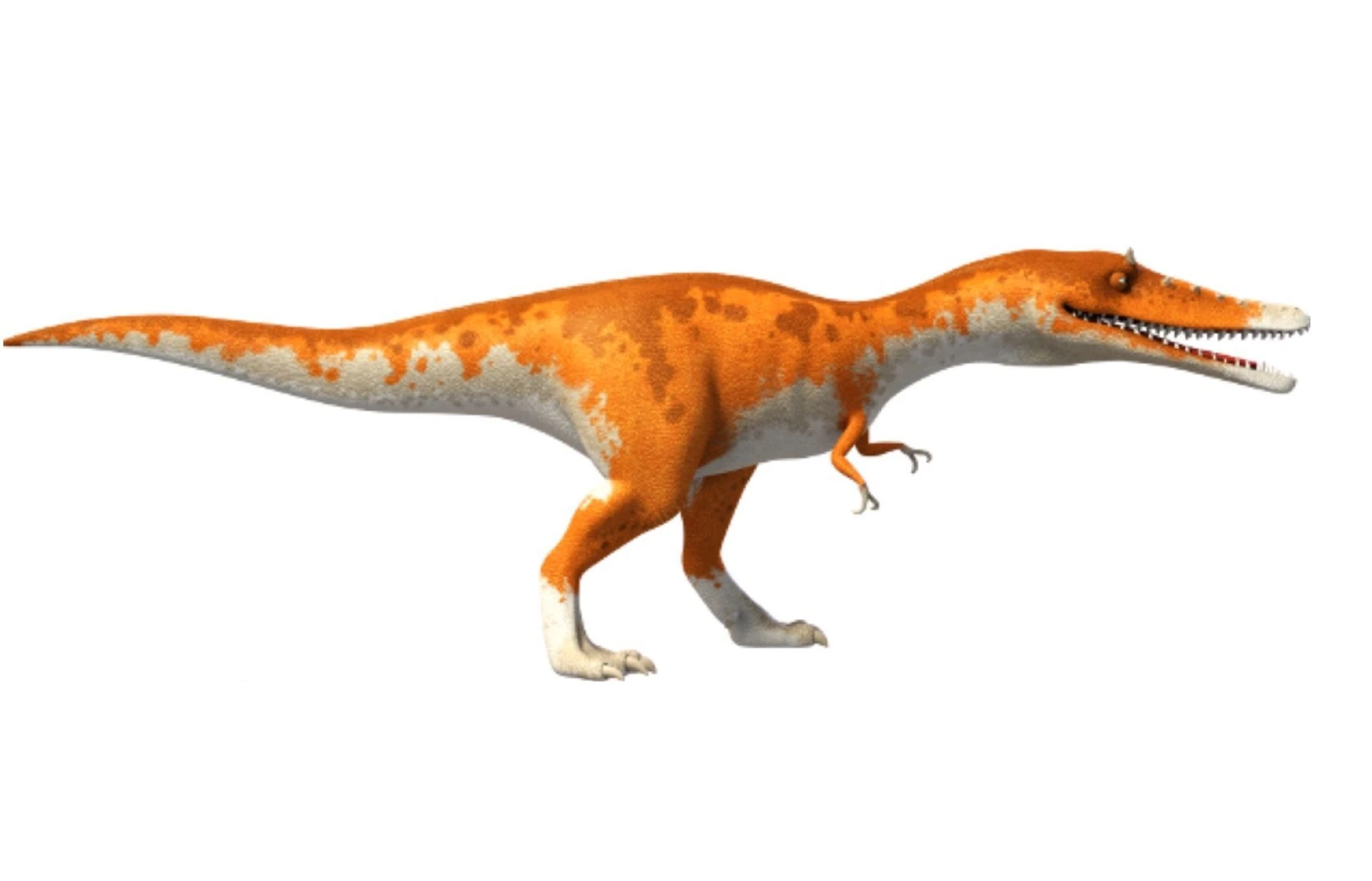 Qianzhousaurus | Dinosaur Train Wiki | Fandom