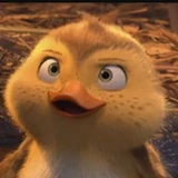 Duck Duck Goose Wiki | Fandom