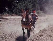 Duke farm | The Dukes of Hazzard Wiki | Fandom