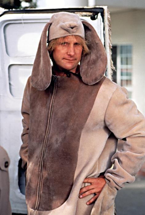 Image Harry Dunne Dumb And Dumber Wiki Fandom Powered By Wikia