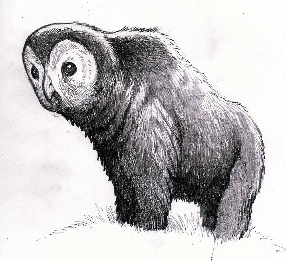 Owlbear Dungeons And Dragons Wiki FANDOM Powered By Wikia owlbear-dungeons-and-dragons-wiki-fandom-powered-by-wikia