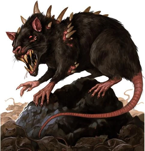 Image - Dire Rat.jpg | Dungeons and Dragons Wiki | FANDOM powered by Wikia