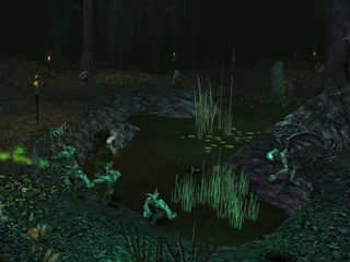 Eastern Swamp | Dungeon Siege Wiki | Fandom