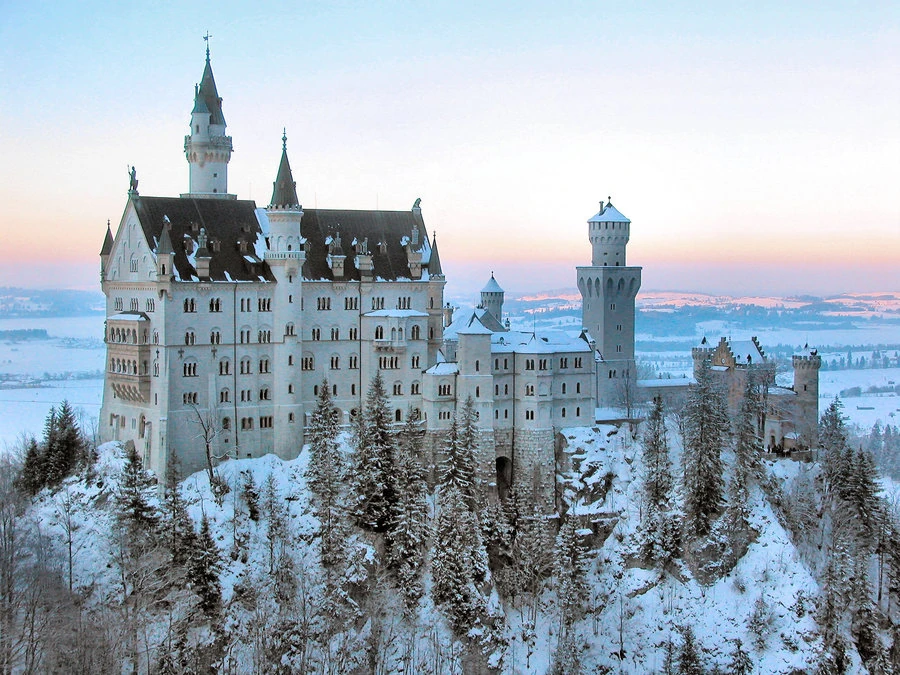 Catégorie:Dyr | Wiki Durmstrang Institute | Fandom