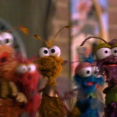The Adventures of Elmo in Grouchland | DVD Database | Fandom