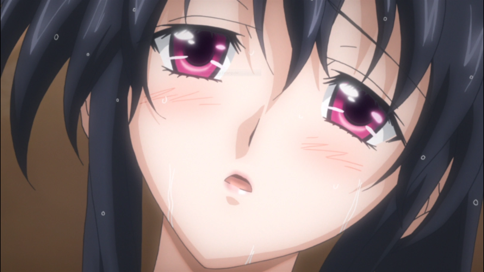 Akeno Paimon High School Dxd Wiki Fandom