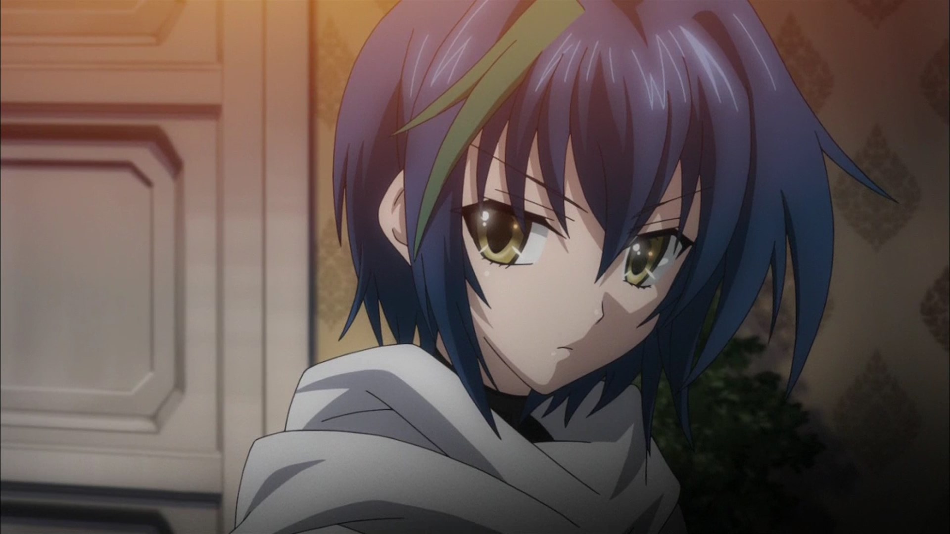 Image Xenoviajpeg High School Dxd Wiki Fandom Powered By Wikia