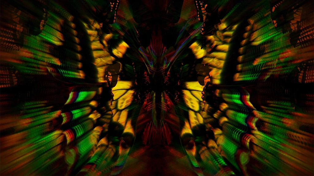 Xetta | Dynamix Wiki | Fandom