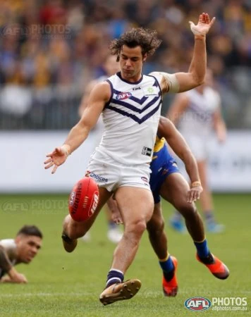 Brady Grey | West Coast Eagles Wiki | Fandom