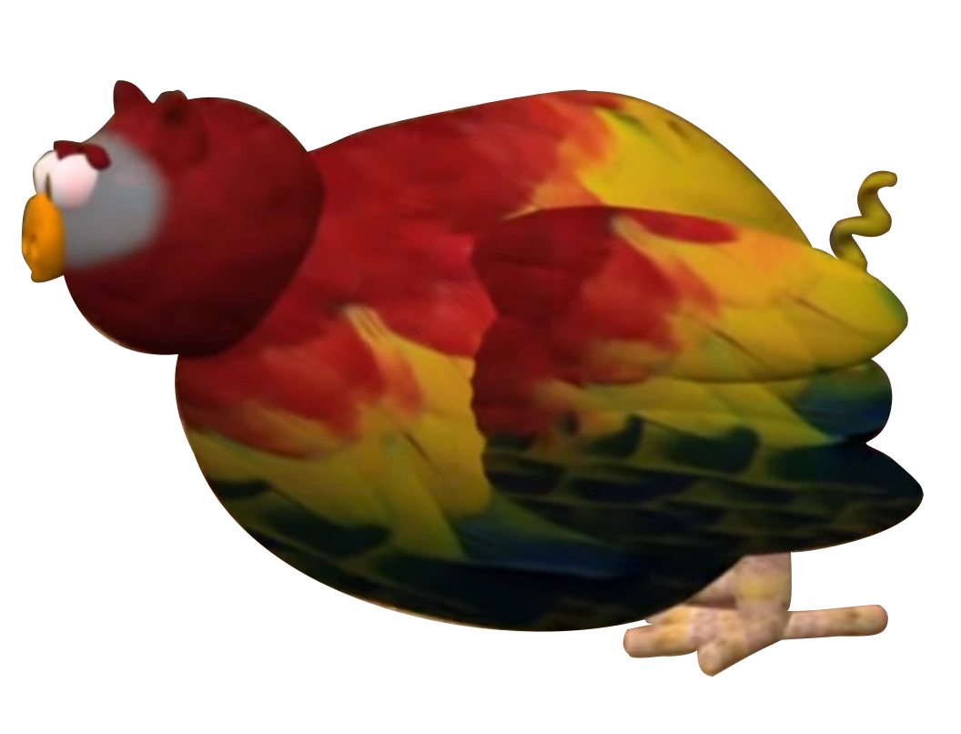 Parrots | EdukayFUN Wiki | Fandom