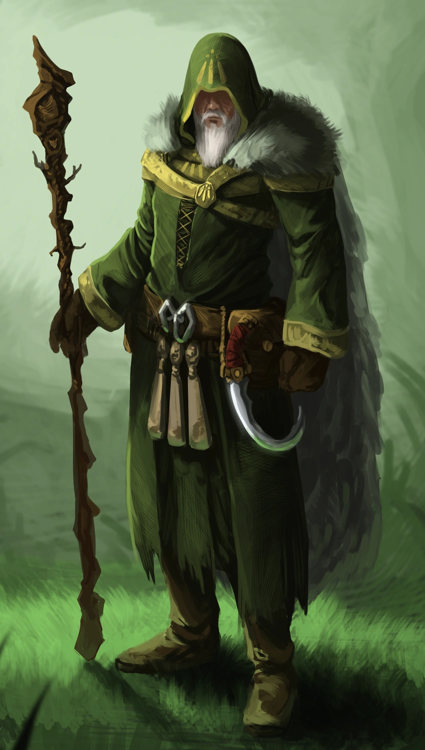 Druid | Eidoran Campaign Setting Wiki | Fandom