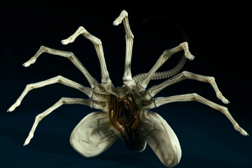 Imagen - Xenomorfo Abrazacaras.png | Wiki El Bestiario | FANDOM powered ...