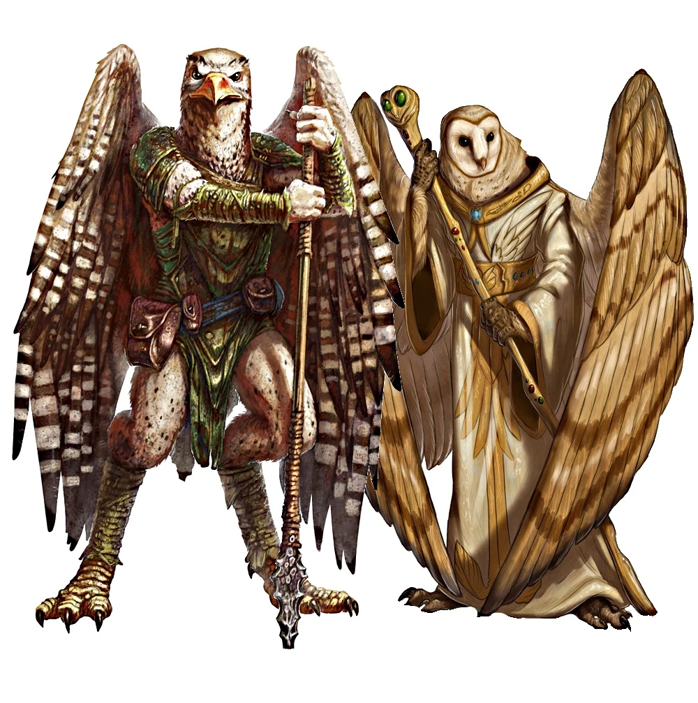 Aarakocra | Eladriell's D&D Wiki | Fandom
