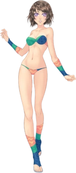 Patchwork | Eldarya Wiki | FANDOM powered by Wikia