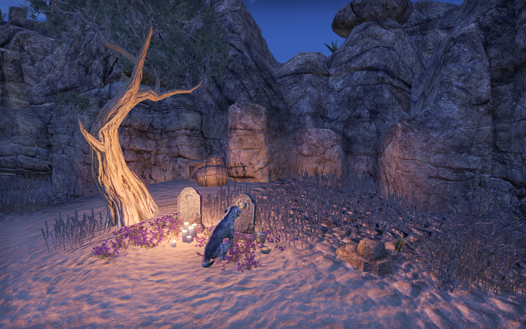 Aswala's Remembrance | Elder Scrolls | Fandom