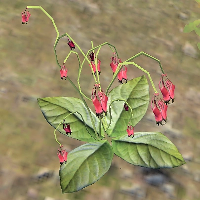 Columbine (Online) | Elder Scrolls | FANDOM powered by Wikia