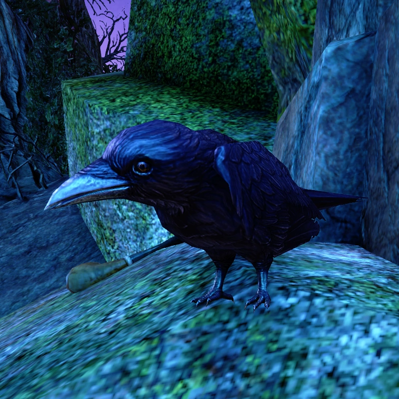 Duke of Crows | Elder Scrolls | Fandom