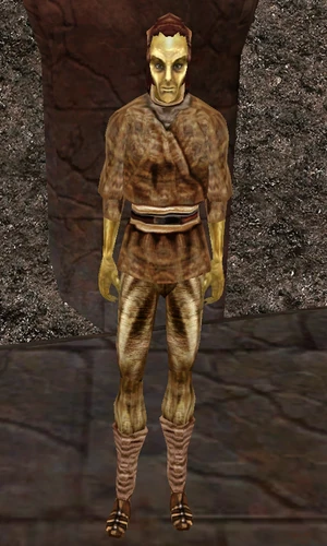 Worshipper (Morrowind) | Elder Scrolls | Fandom