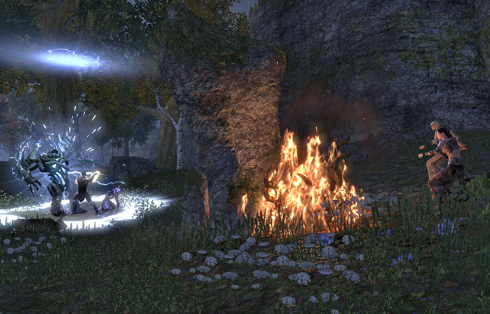 Champion of the Guardians | Elder Scrolls | Fandom