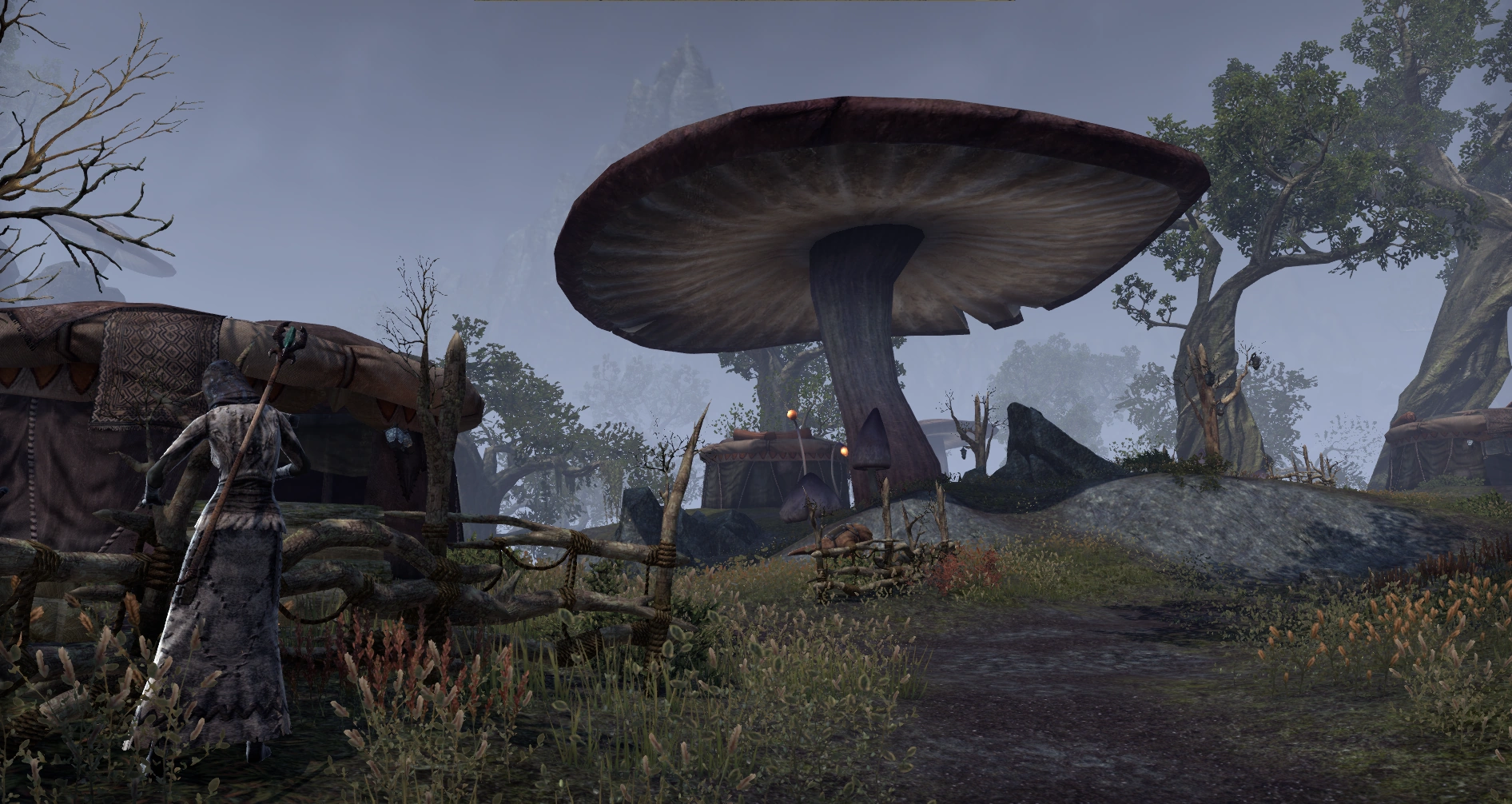 Vale of the Ghost Snake | Elder Scrolls | Fandom