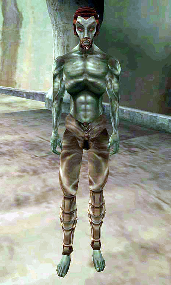 Dreamer | Elder Scrolls | FANDOM powered by Wikia