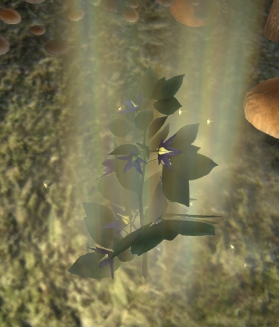 Nightshade (Online) | Elder Scrolls | Fandom