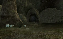 Маллапи (Morrowind) | The Elder Scrolls Wiki | FANDOM powered by Wikia