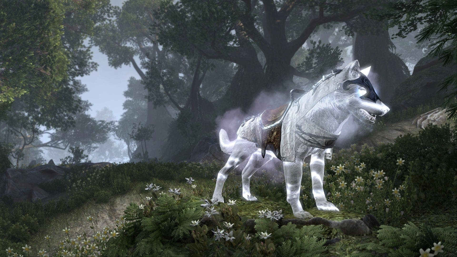 Phantom Ice Wolf | Elder Scrolls | Fandom