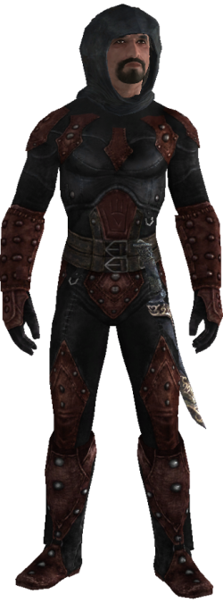 Dark Brotherhood Initiate Elder Scrolls Fandom Powered By Wikia