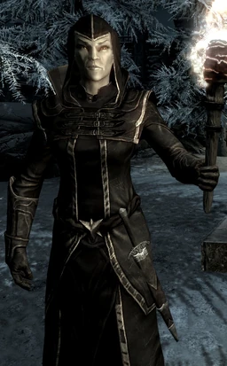 Thalmor (Skyrim) | Elder Scrolls | FANDOM powered by Wikia