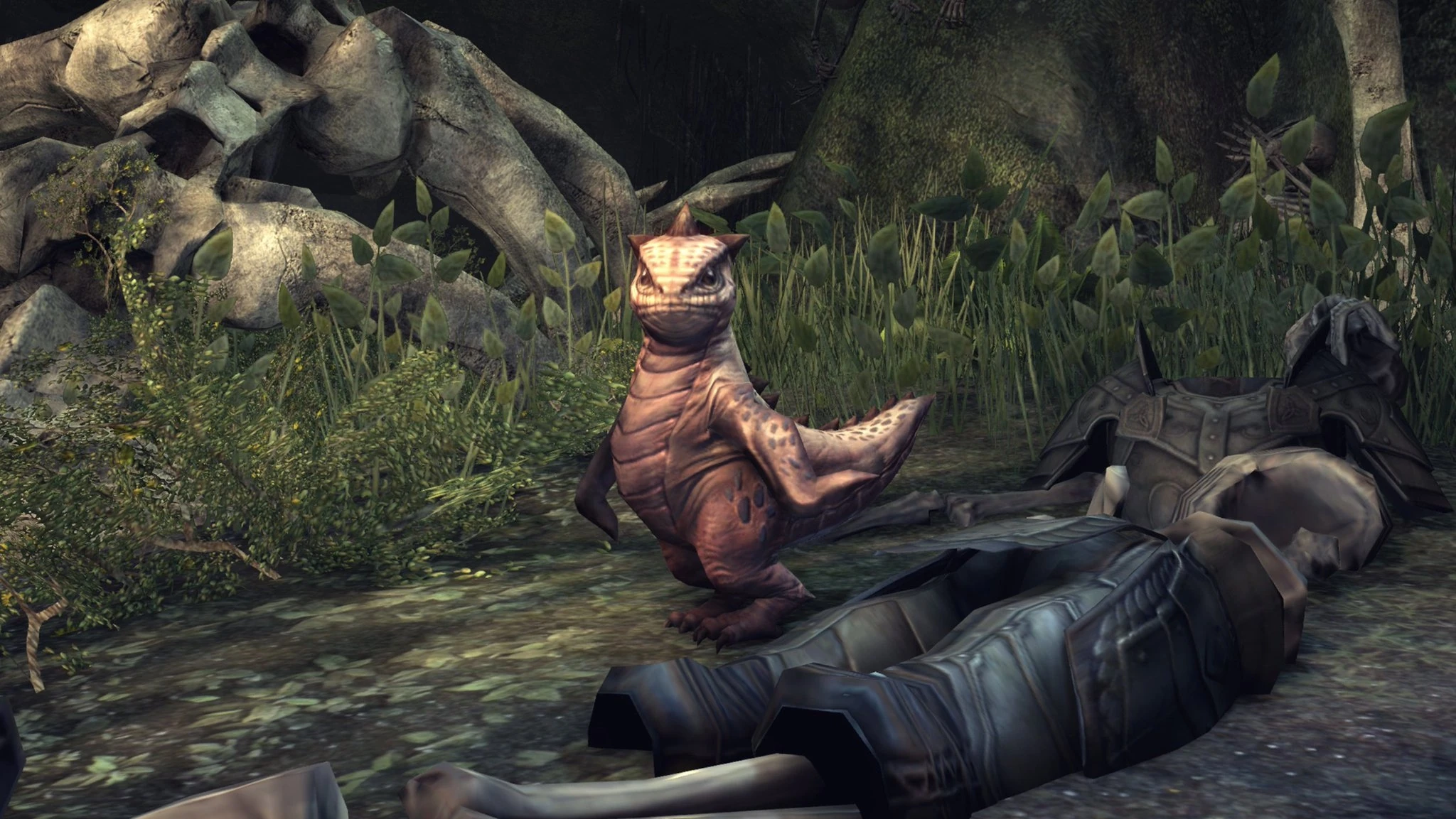 50 Shades of Bantam — Elder Scrolls Online