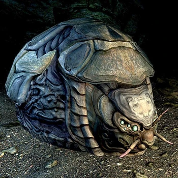 Cascarudo | Elder Scrolls | Fandom