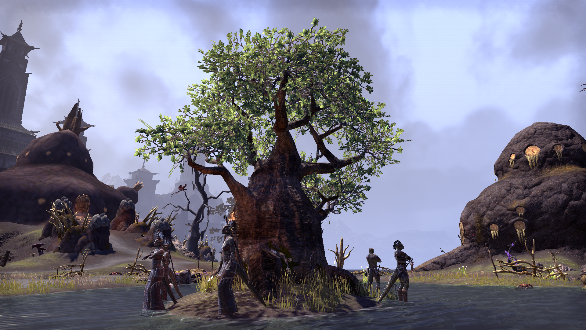 The Sapling | Elder Scrolls | Fandom