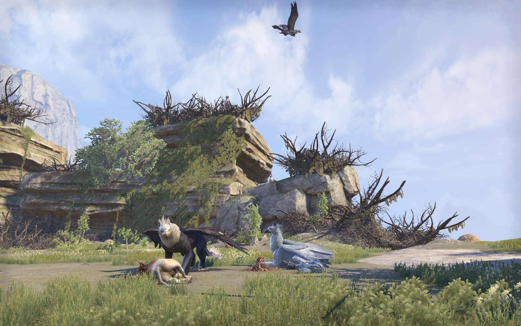 Gryphon Run | Elder Scrolls | Fandom