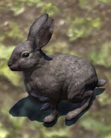 Sooo we got bats and a fawn... does this mean a different variety of ...