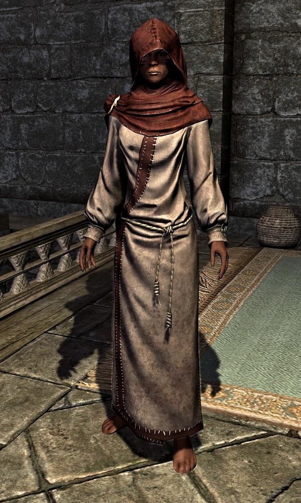 Image - Hooded Red Robes 00010CFEB.png | Elder Scrolls | FANDOM powered ...
