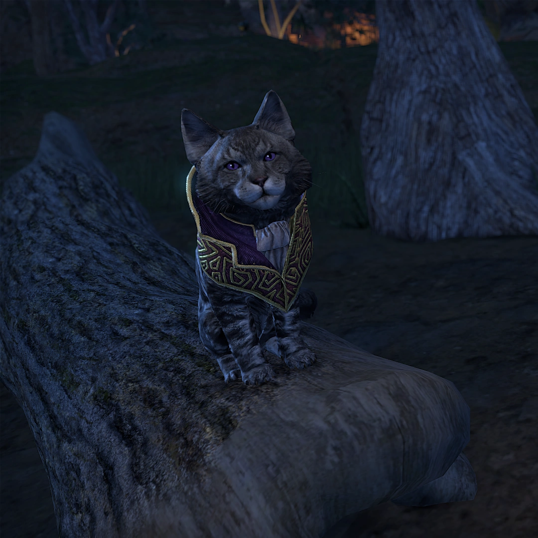Skooma Cat | Elder Scrolls | Fandom