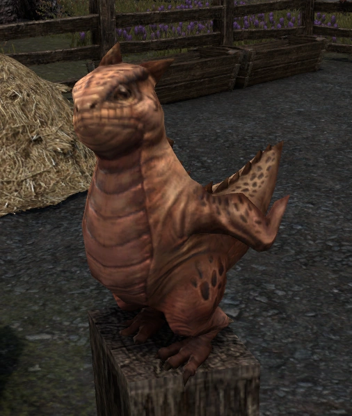 Bantam Guar | Elder Scrolls | FANDOM powered by Wikia