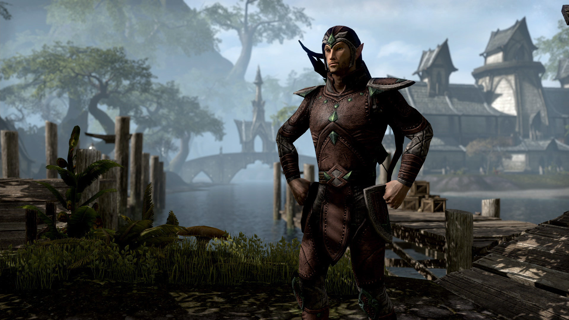 Imagen Bosmer Online Elder Scrolls Fandom Powered By Wikia