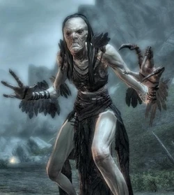 Hagraven | The Elder Scrolls Wiki | FANDOM powered by Wikia