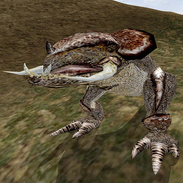 Kagouti (Morrowind) | Elder Scrolls | Fandom